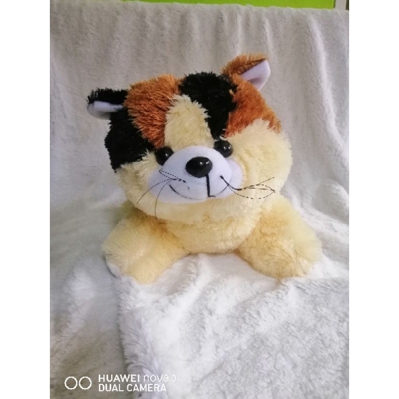 Jual Boneka kucing size 50 cm | Shopee Indonesia