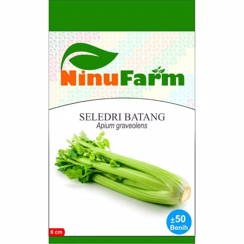 Jual Benih Seledri Batang / Bibit Seledri Batang Besar | Shopee Indonesia