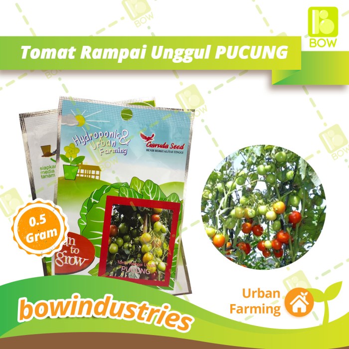 Jual Benih Bibit Tanaman Sayuran Tomat Rampai Unggul "Pucung" Garuda ...
