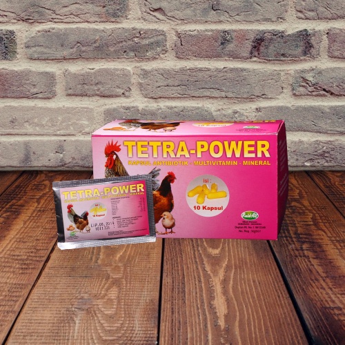 Jual 10 KAPSUL TETRA POWER ANTIBIOTIK MULTIVITAMIN MINERAL OBAT AYAM ...