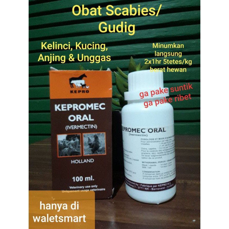 Jual KEPROMEC ORAL 100ml Obat Scabies Gudig Caplak Borok pada Kelinci ...