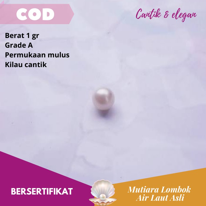Jual PROMO Butiran Mutiara Lombok Air Laut Asli GRADE A Mulus Warna ...