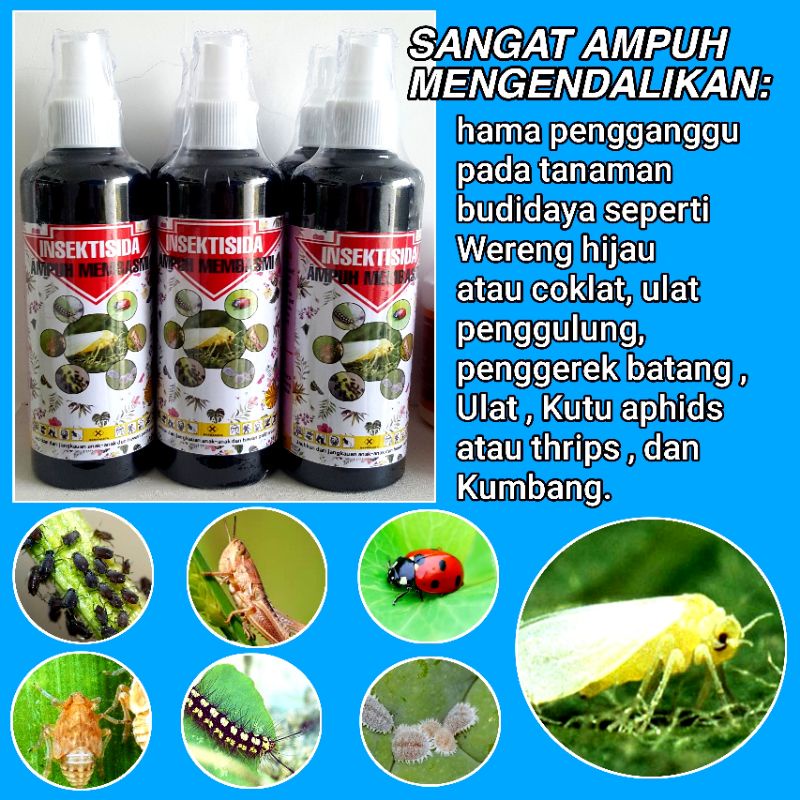 Jual Insektisida 250ml siap pakai untuk Tanaman Hias obat pembasmi kutu ...