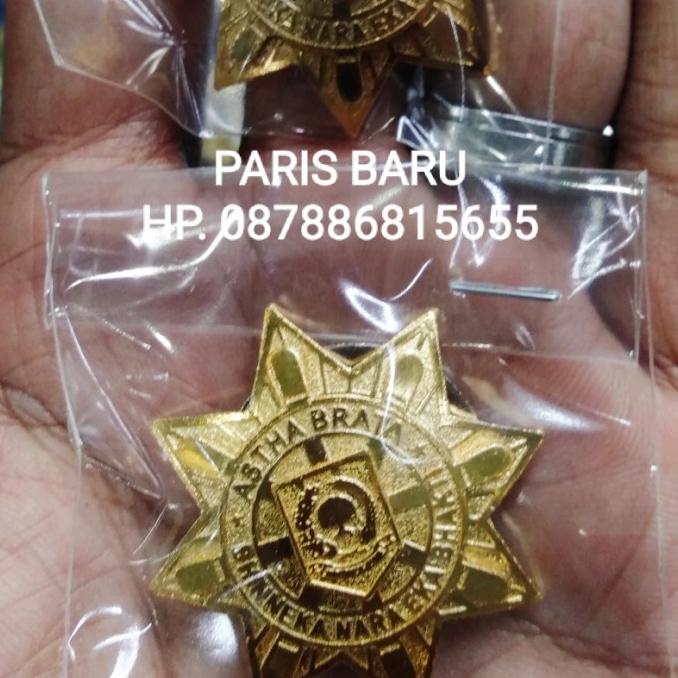 Jual Pin / Lencana IPDN Bupati Dan Wakil Bupati | Shopee Indonesia