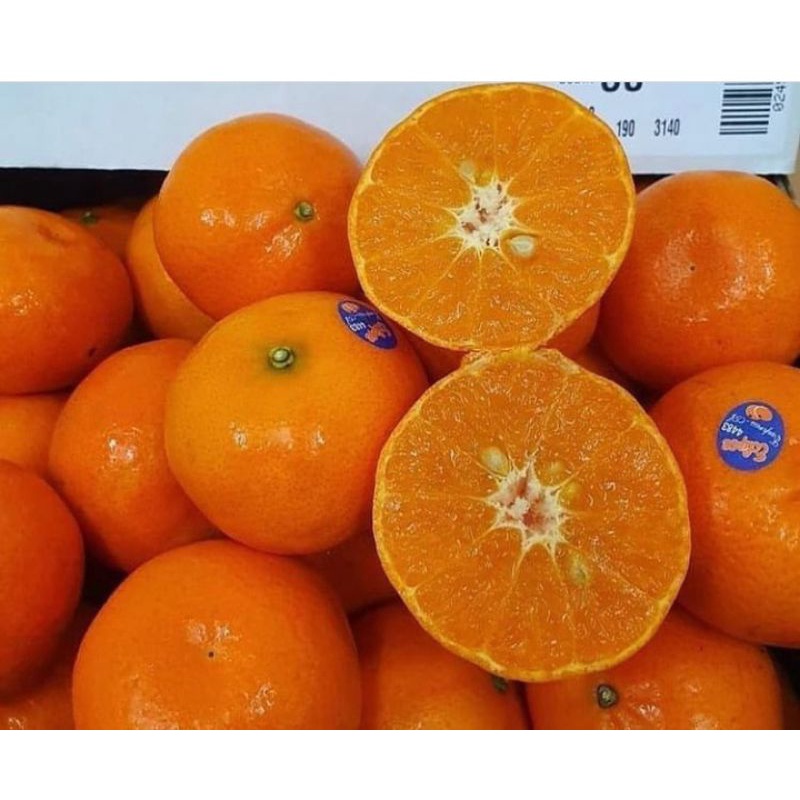 Jual Jeruk Honey Murcot Manis Segar 500 gram | Shopee Indonesia