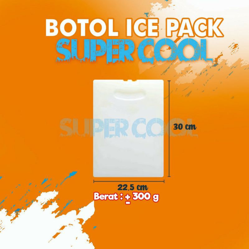 Jual BOTOL ICE PACK KOSONG BESAR 30X22,5 CMXTEBAL 3 CM | Shopee Indonesia