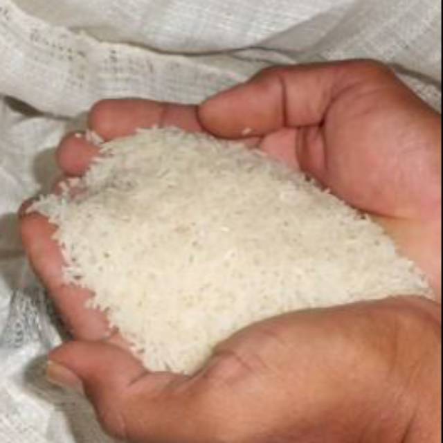 Jual Beras Siam Unus Mayang Asli Banjar Pera 1 lt | Shopee Indonesia