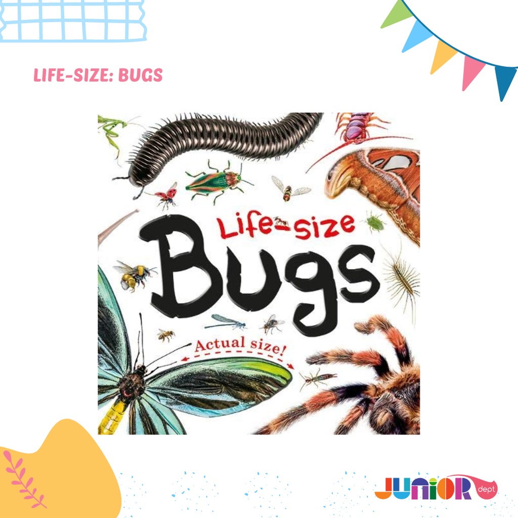 Jual Life-Size Bugs Board Book / Buku Pengenalan Serangga / Buku Anak ...