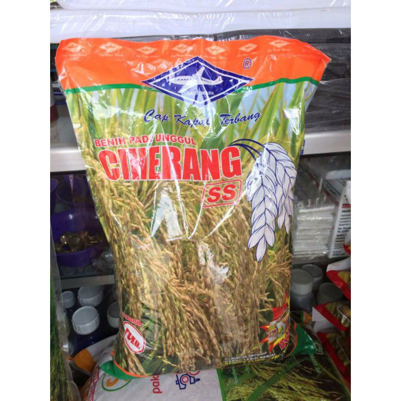 Jual 5kg BENIH PADI / CIHERANG / INPARI 42 / BISI KAPAL TERBANG / PP KERJA / JANGER/ PAK TANI ...