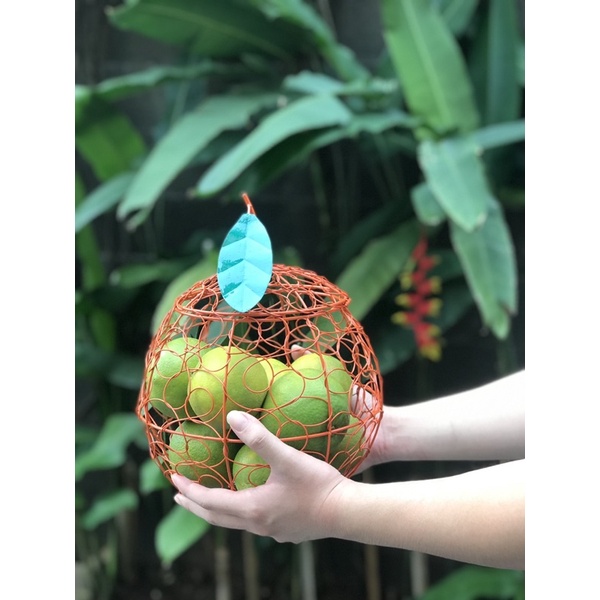 Jual Keranjang Buah Tempat Penyimpanan Buah Ukuran Jumbo Bentuk Buah ...