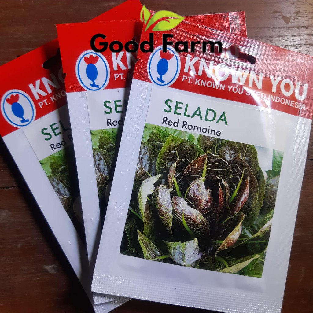 Jual BENIH SELADA RED ROMAINE / KEMASAN 5GR / KNOWN YOU SEED | Shopee Indonesia
