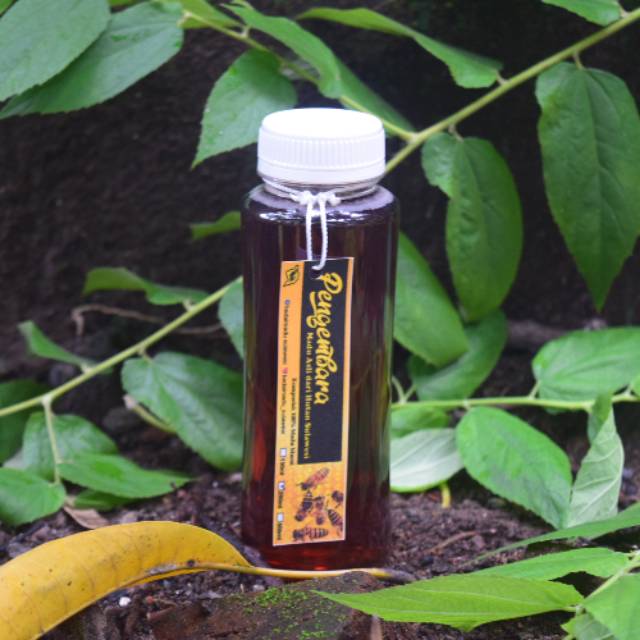 Jual Madu Hutan Asli Sulawesi | Shopee Indonesia