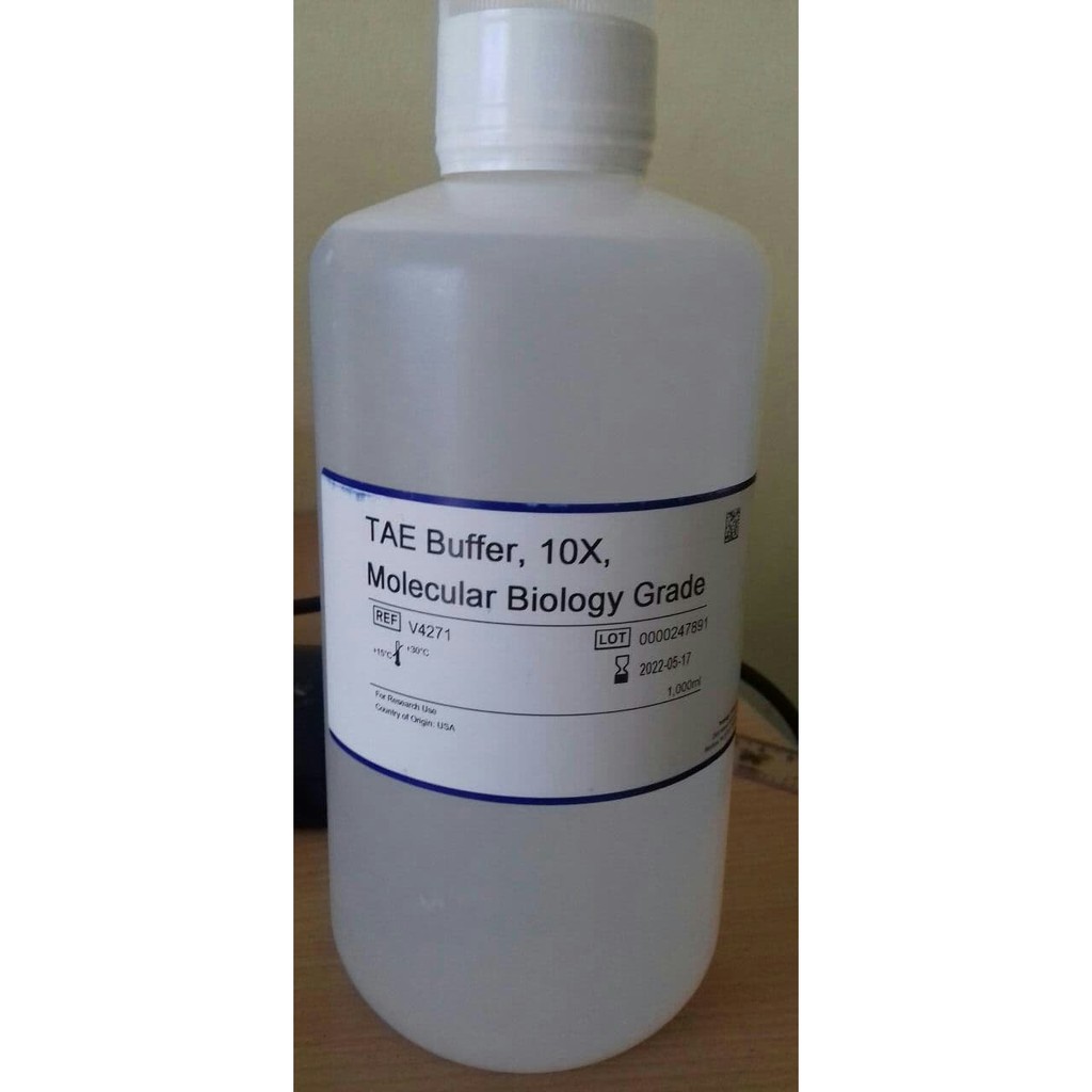 Jual TAE Buffer 10X, 1000ml | Shopee Indonesia