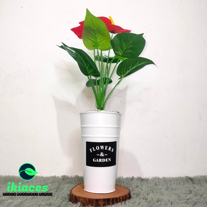 Jual BUNGA POT HIAS JUMBO BUNGA ANTHURIUM BUNGA JUMBO ANTHURIUM BUNGA ...