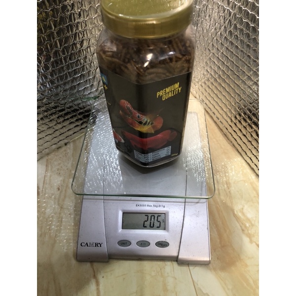 Jual Agua MAGGOT / Ulat Tinggi Protein / An Excellent High Protein ...