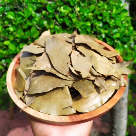 Jual Daun Kayu Manis Kering Kualitas Super Bagus 500g | Shopee Indonesia