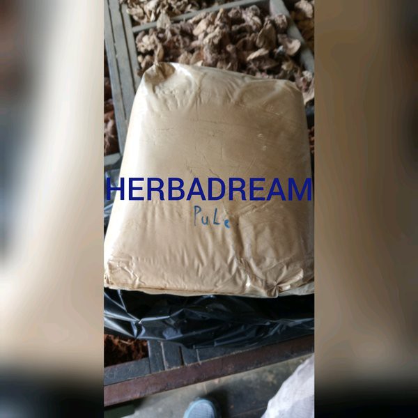 Jual 500 GRAM BUBUK PULE ALSTONIA SCHOLARIS BABAKAN PULAI DITTA BARK ...