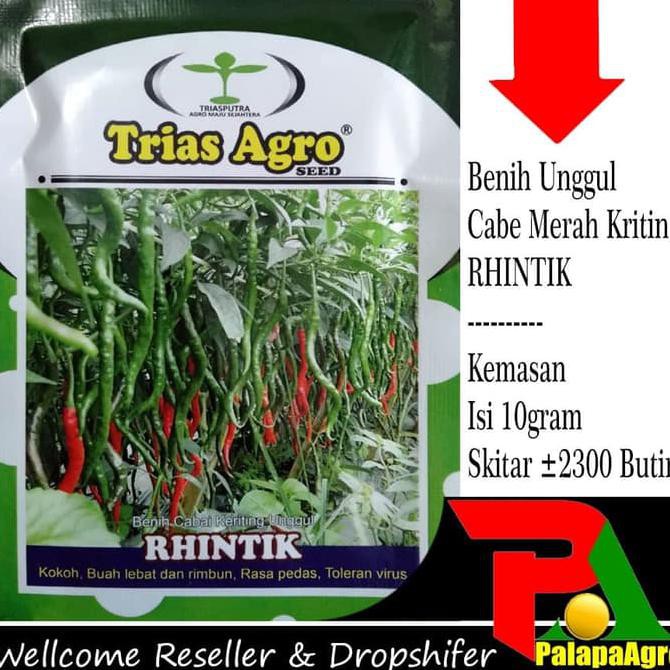 Jual Produk Ready Benih Cabe Merah Keriting Rhintik 10Gram | Shopee ...