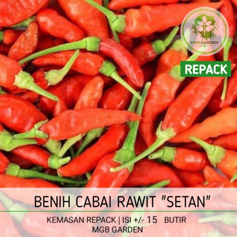 Jual BENIH/BIJI CABAI RAWIT PEDAS SETAN REPACK | Shopee Indonesia