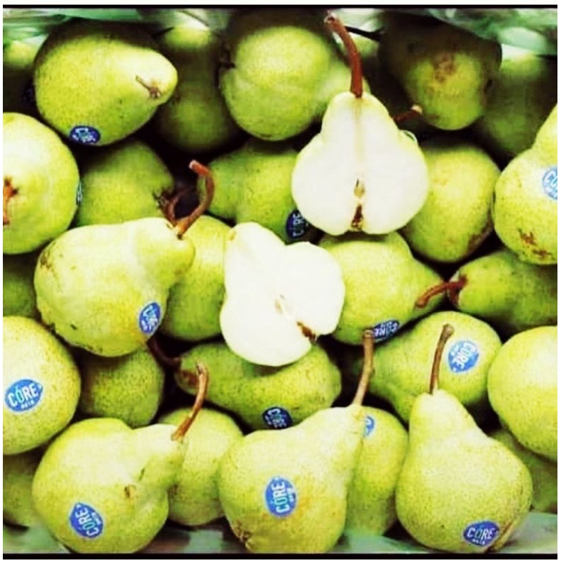 Jual pear ijo (pacham) 1kg | Shopee Indonesia
