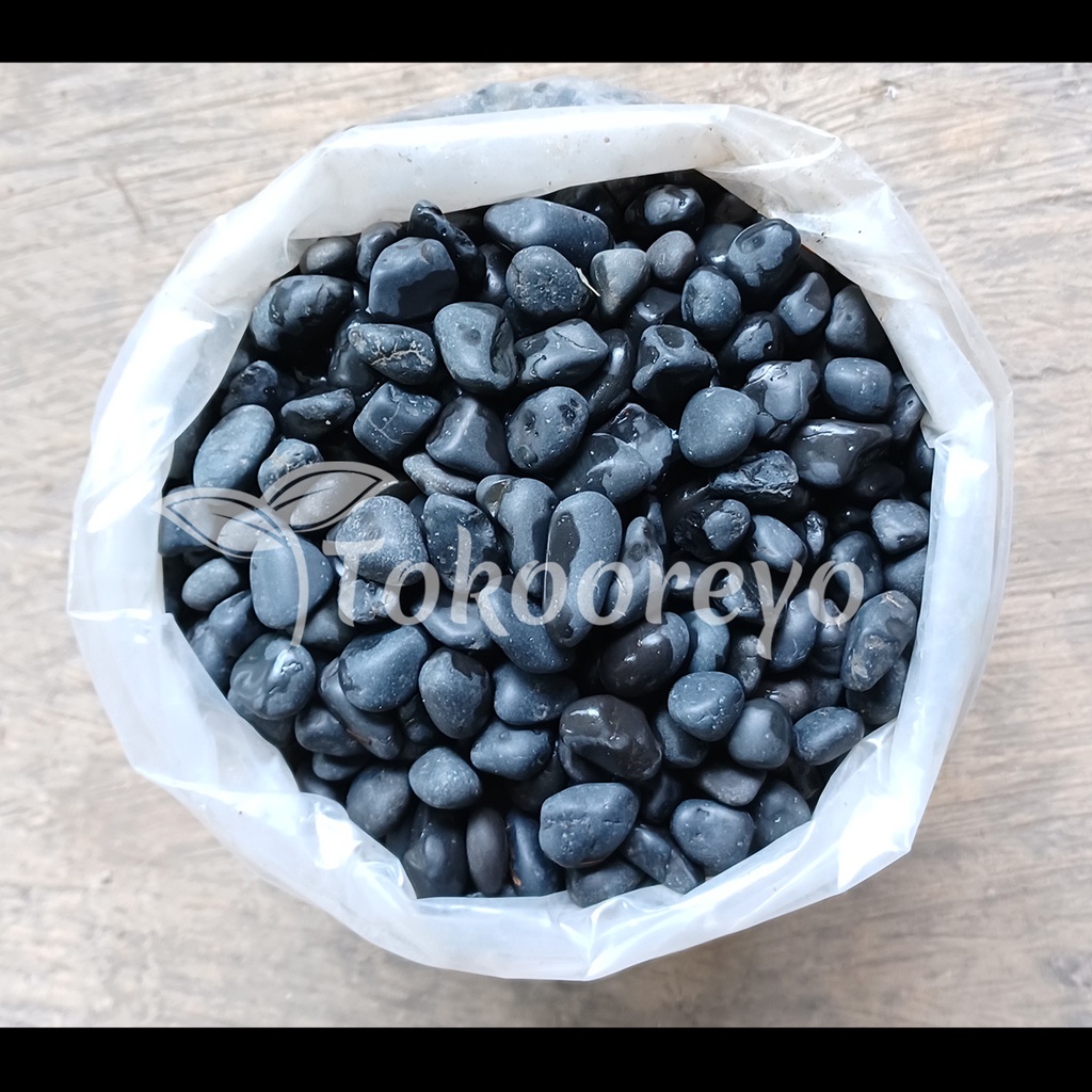 Jual BATU ALOR FLORES SEDANG - KORAL HITAM HIAS TAMAN VIA GOSEND GRAB ...