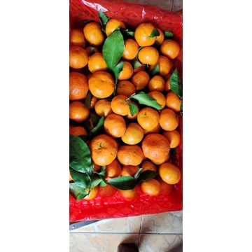 Jual jeruk shantang brand random 1krat isi 6kg (berat timbang) | Shopee ...