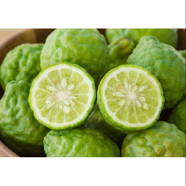 Jual Limau Kuit Size Besar / per buah | Shopee Indonesia