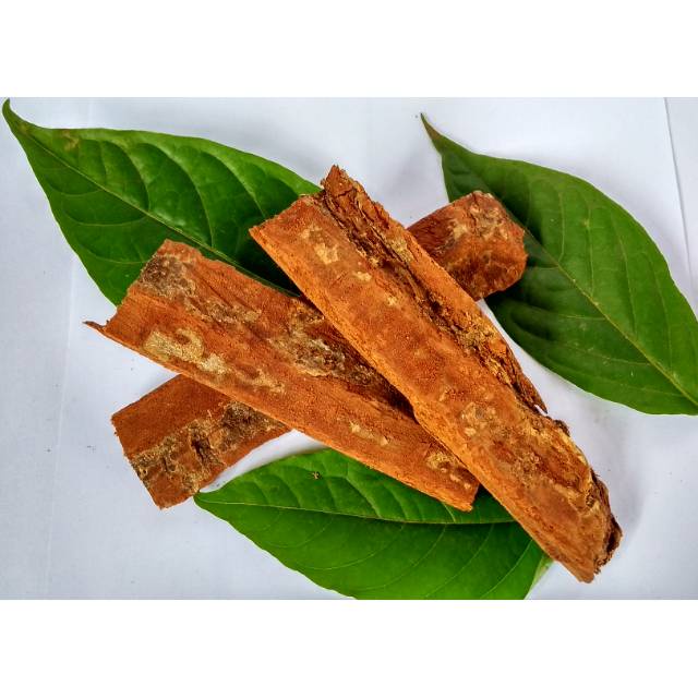 Jual Jsr Rempah Kayu Sintok Madu 100 Gram | Shopee Indonesia