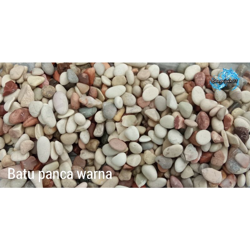 Jual batu kali / bronjol batu koral lampung batu mix merah batu telor ...