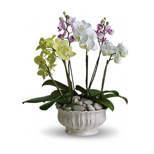 Jual Karangan Bunga Meja Bunga Anggrek Bunga Vas Table Flower BAG18 ...