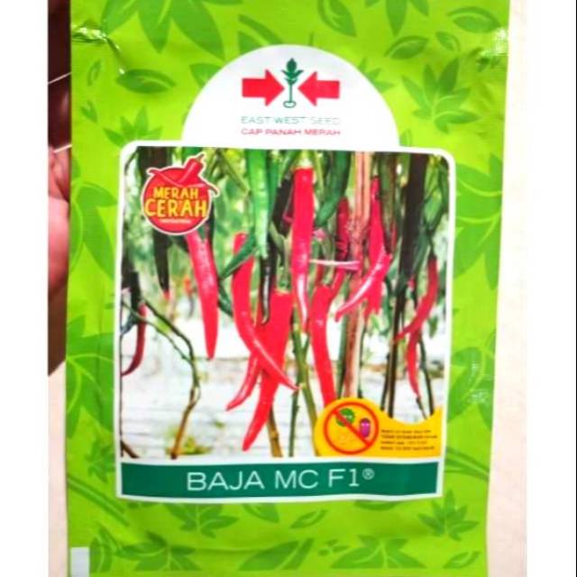 Jual 1500 btr Benih Cabe Merah Besar Baja MC Bibit Cabai Lombok Cap ...