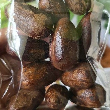 Jual Biji Pala Lonjong 1kg Kualitas Bagus - Utuh Masih Ada Kulit ...