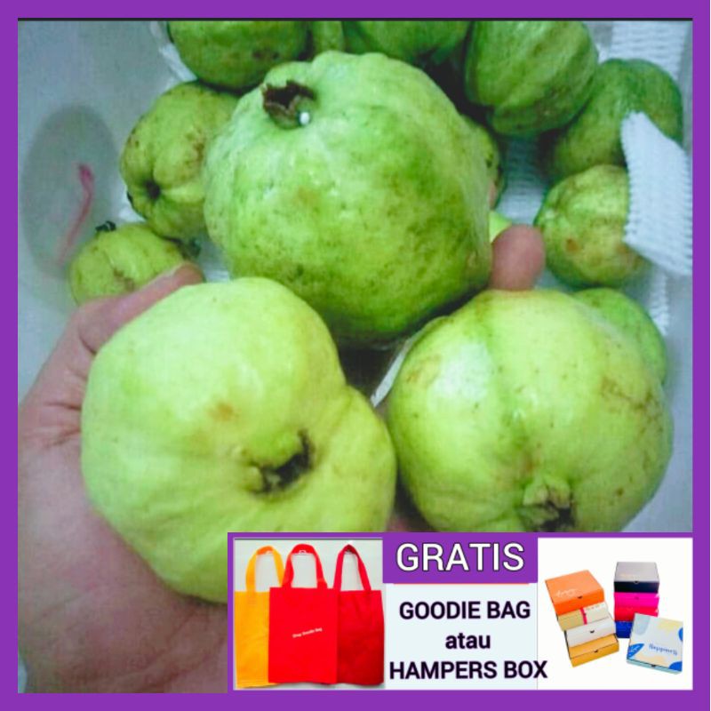 Jual JAMBU CRYSTAL Buah Segar Jambu Crystal IBAZA fruitsBOX | Shopee ...