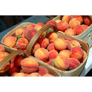 Jual Buah Peach Terlengkap & Harga Terbaru Mei 2024 | Shopee Indonesia