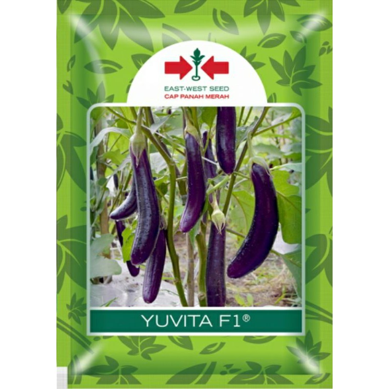 Jual BENIH TERONG UNGU HIBRIDA F1 YUVITA CAP PANAH MERAH KEMASAN 1100 BUTIR | Shopee Indonesia