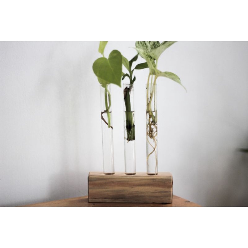 Jual Vas Bunga Kayu Air Tabung Kaca Propagasi Water Propagation Pot ...