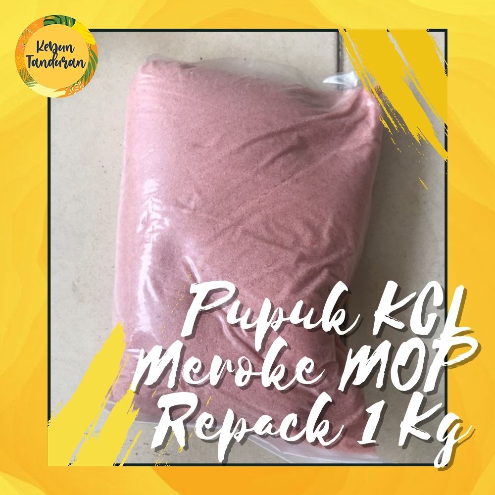 Jual Pupuk KCL Meroke MOP Repack 1 Kg - ASLI Meroke Kemasan Repack ...
