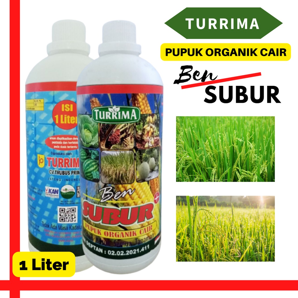 Jual Pupuk Cair Penambah Bobot Padi, Pupuk Organik Padi Pupuk Penambah anakan padi Pupuk BEN ...