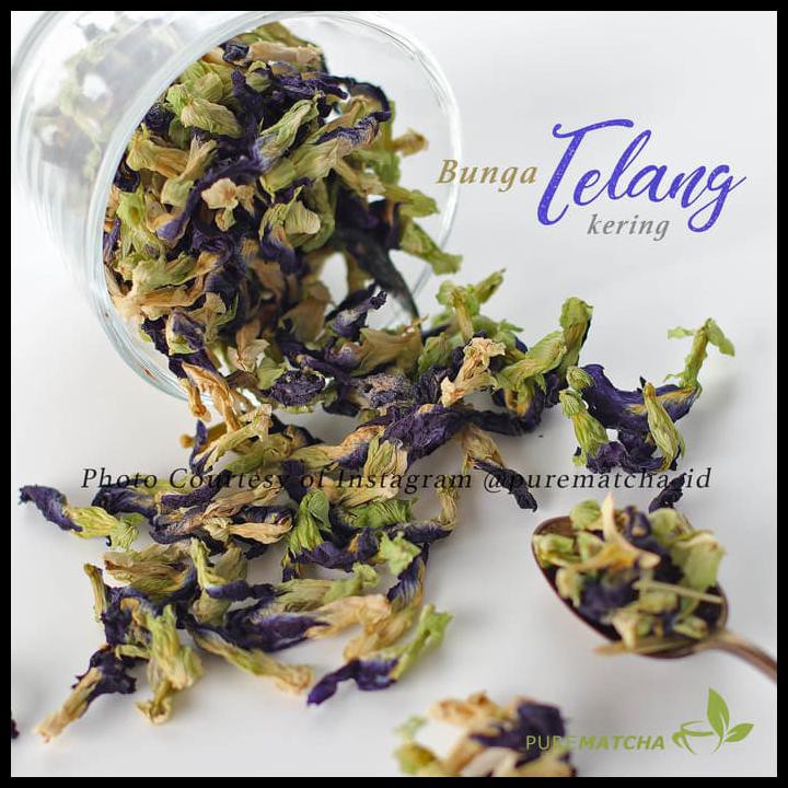Jual Bunga Telang Teh Clitoria Ternatea Butterfly Pea Blue Tea Teh Biru ...