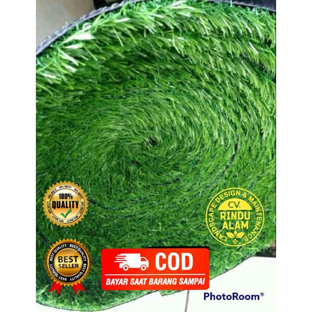 Jual rumput Swiss 3cm premium 200 x 750, 15meter | Shopee Indonesia