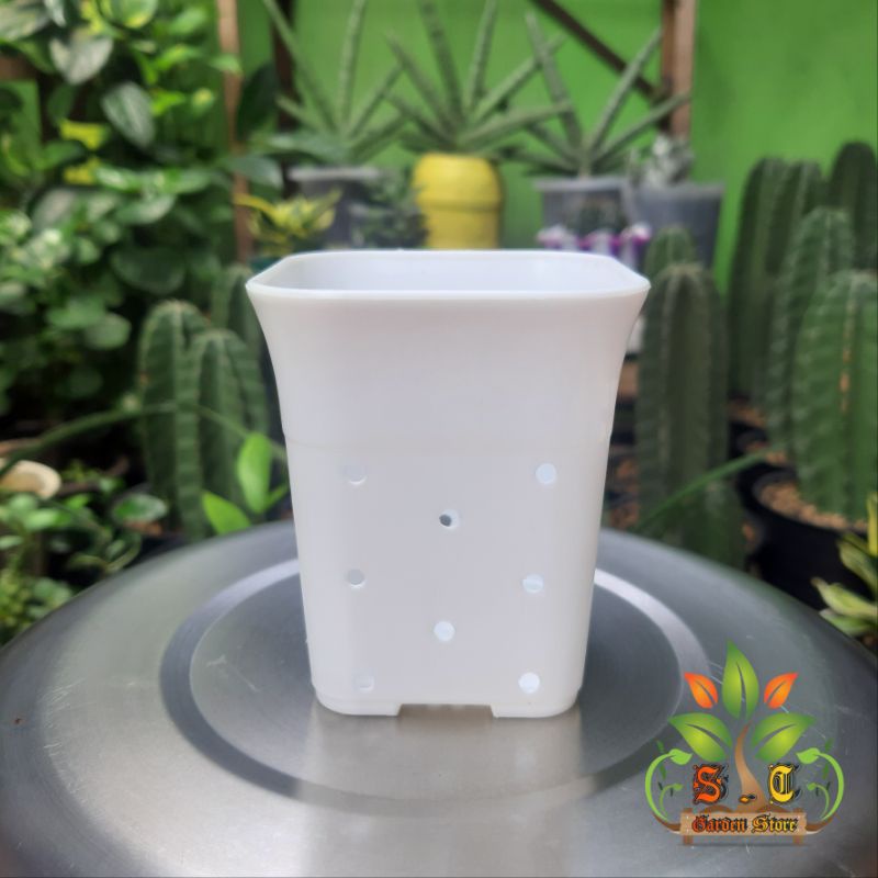 Jual POT KOTAK NKT JUOSS 7 BERLUBANG BENING TRANSPARAN HITAM & PUTIH ...