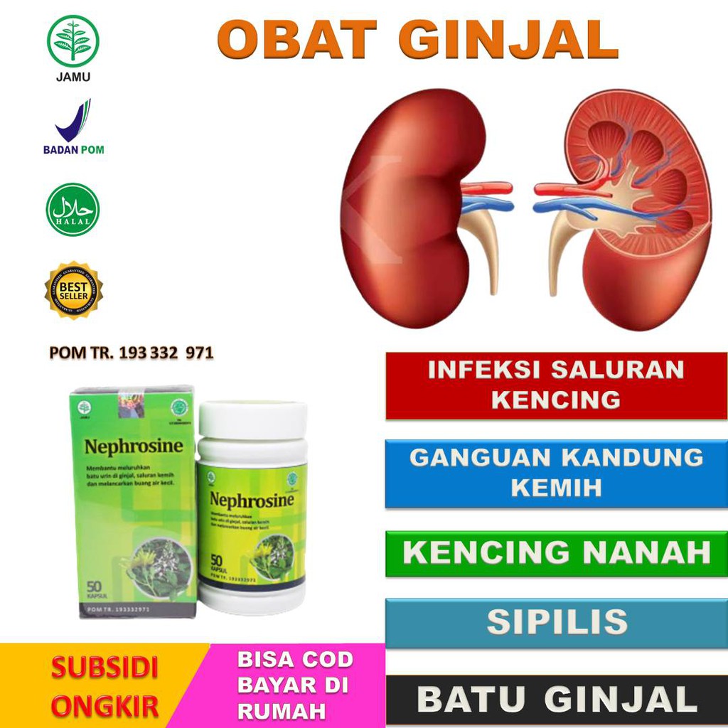 Jual [HERBAL ALAMI ]Obat Batu Ginjal Pecahkan Batu Ginjal Keluarkan ...