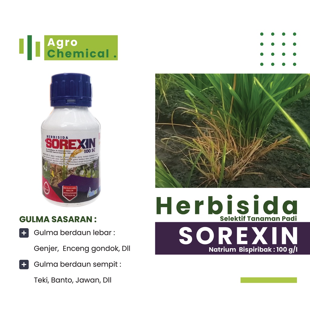 Jual Obat Pembasmi Gulma/Rumput Padi - Herbisida Sorexin 100ml | Shopee ...
