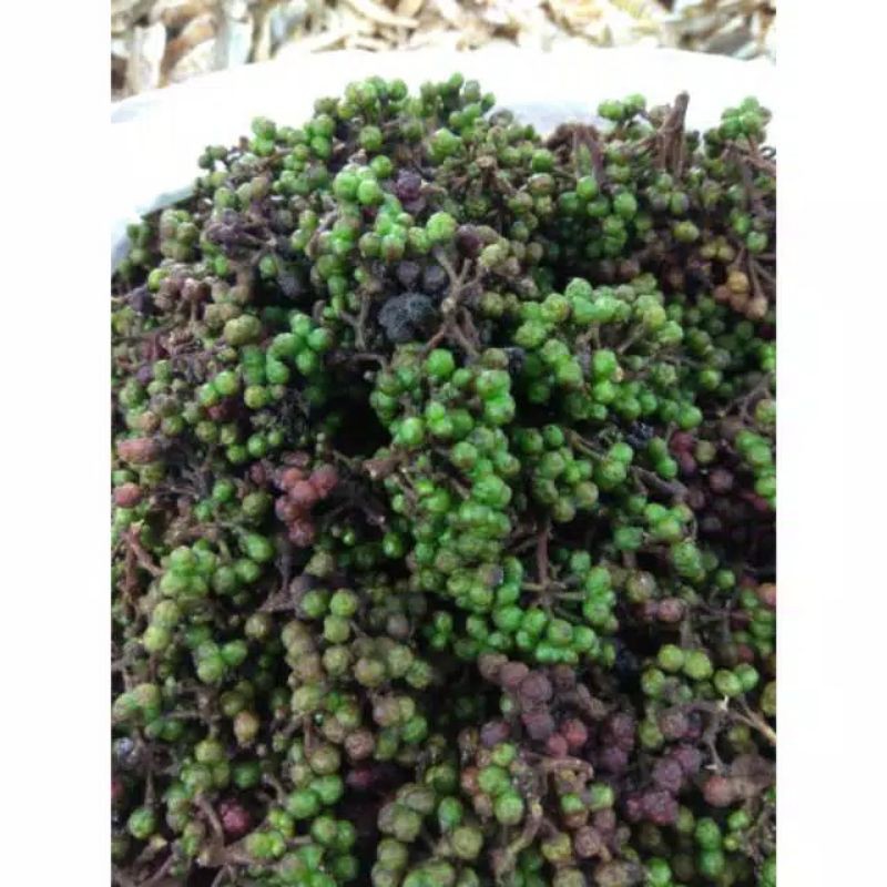 Jual Andaliman segar 1 kg | Shopee Indonesia