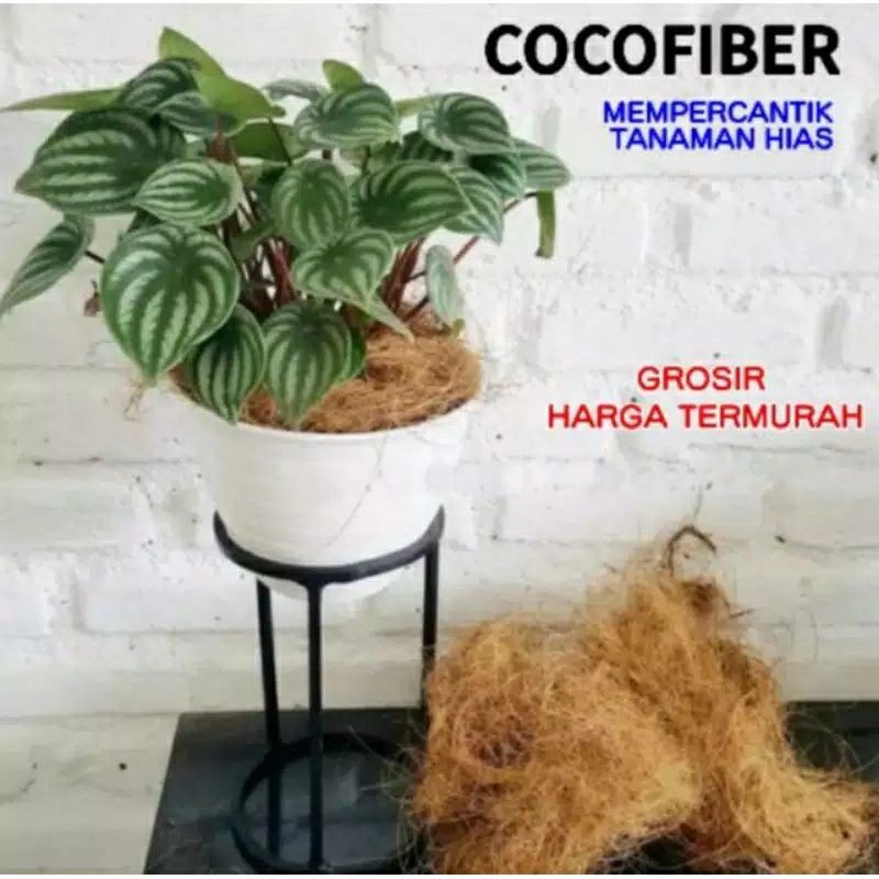 Jual Media Tanam Cocofiber Coco Fiber Serabut Kelapa Ijuk Kelapa ...