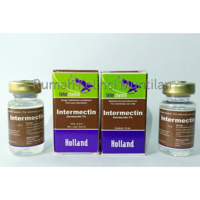 Jual INTERMECTIN 10 ml Obat Scabies Kelinci, Kucing | Shopee Indonesia
