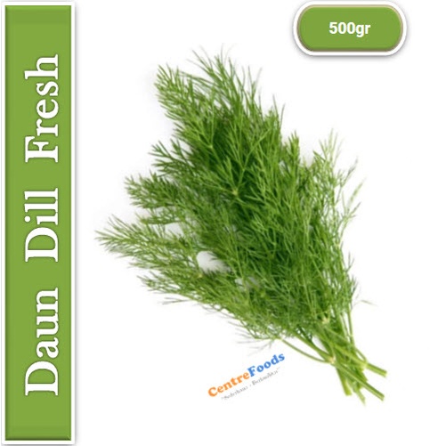 Jual Daun Dill - Adas Sowa Fresh | 500gr [ Harga Per 0,5 Kg ] | Shopee ...