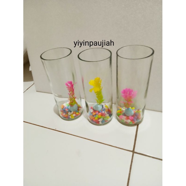 Jual botol cupang botol kaca tabung botol tempat ikan cupang botol ...