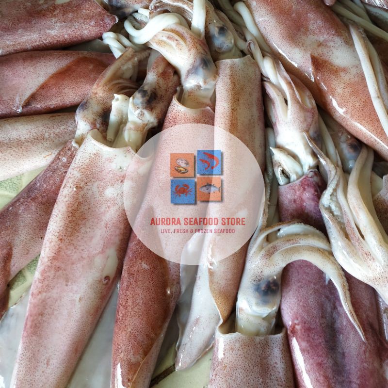 Jual Cumi Fresh | Shopee Indonesia