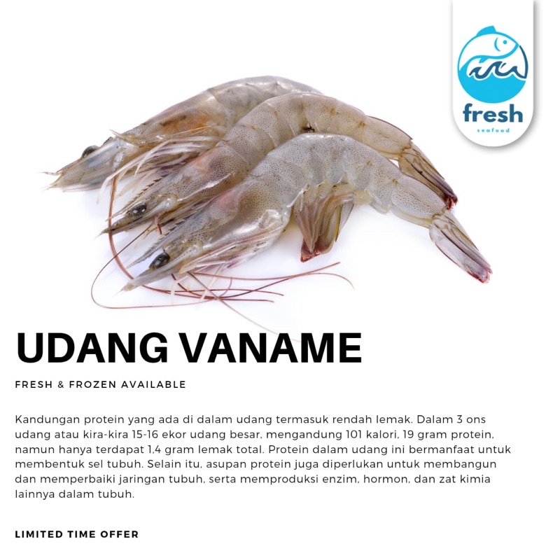 Jual UDANG VANAME FRESH UKURAN SEDANG 1kg | Shopee Indonesia